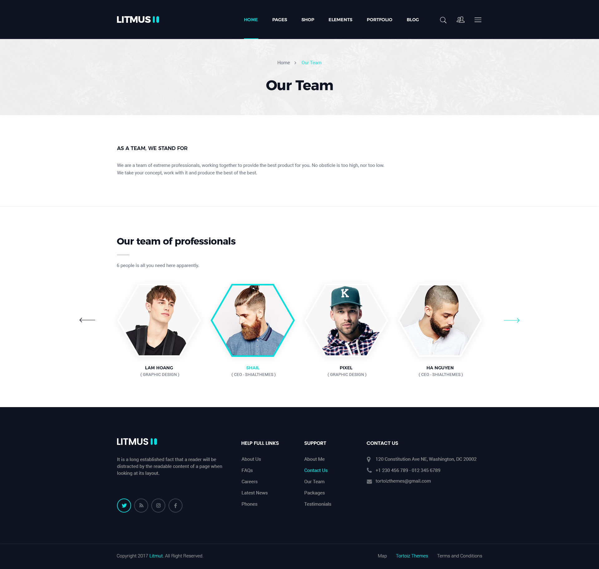 Litmus - Clean & Creative Multipurpose PSD Template by tortoizthemes